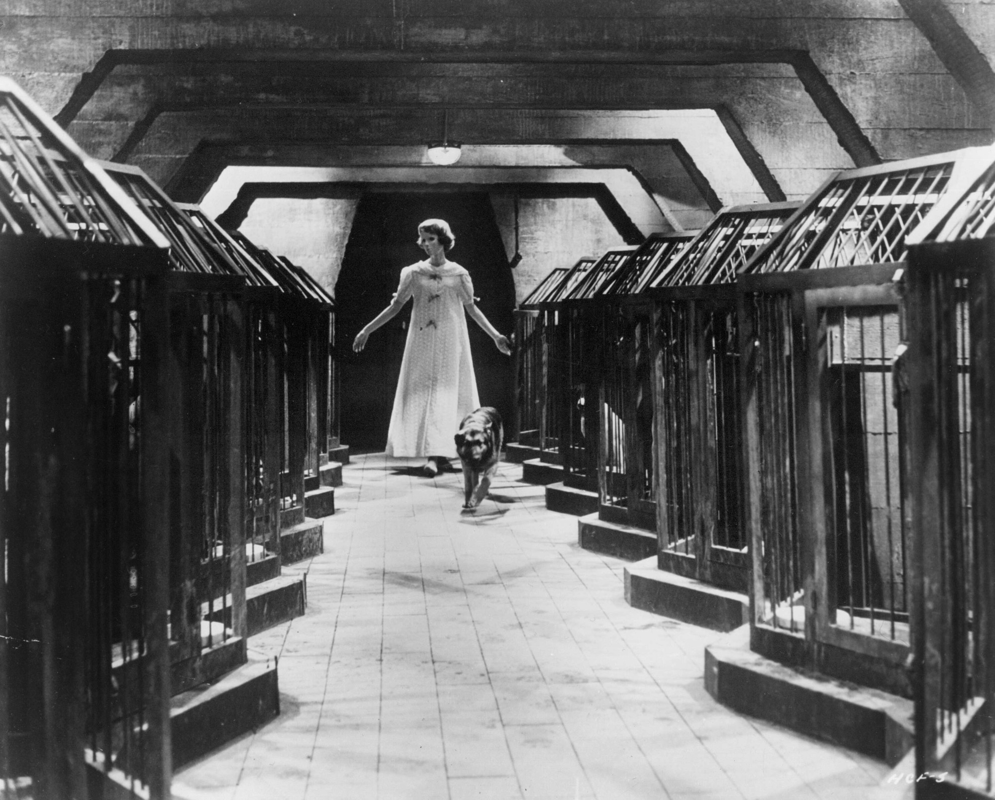Reely Bernie Horror Fest: Eyes Without a Face – Reely Bernie